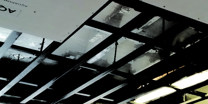 Knauf Aquapanel Interior Ceiling System Youtube